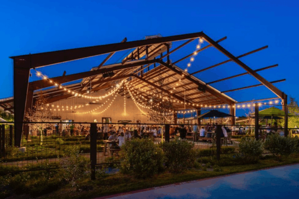 Houston craft breweries and distilleries – The Texas Informer