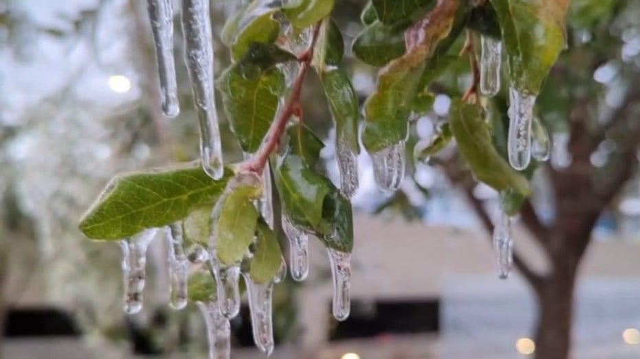Austin Cold Weather Shelters Serve Over 850 Individuals During Severe ...