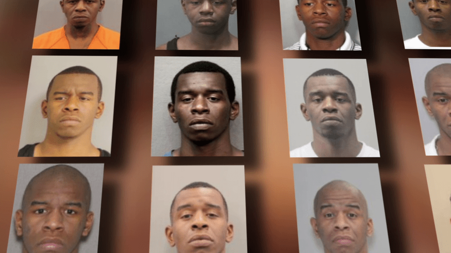 Controversy Surrounds Houston Parole Decision Following Elderly Woman’s ...