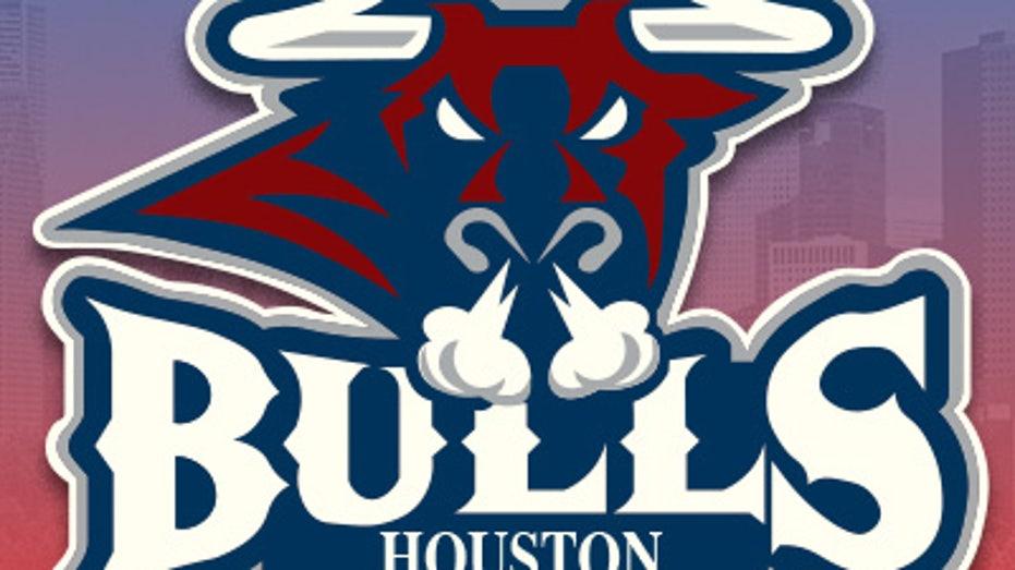 Houston Welcomes Minor League Hockey: NAHL Team Relocation Announcement ...